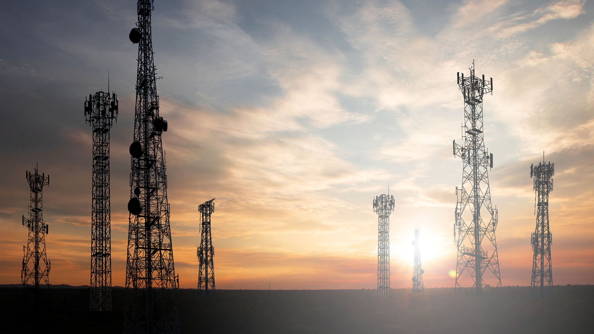 Sustainability | Avanseus